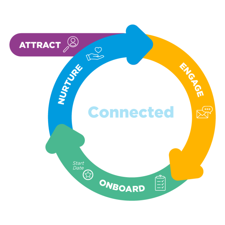 What is the talent lifecycle? | Bullhorn Connected Recruiting